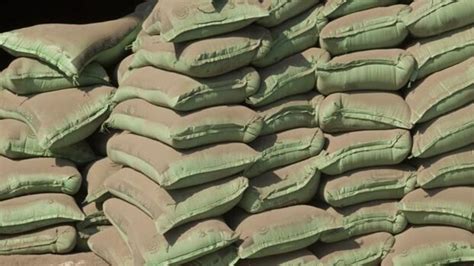 Shree Cement Q1 Net Profit Jumps 84 To ₹581 Crore Revenue Growth At