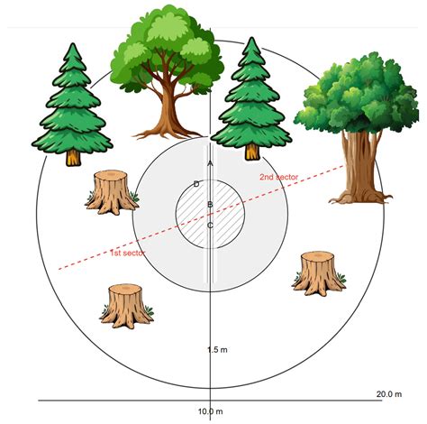 Modeling Forest Regeneration Dynamics Estimating Regeneration Growth