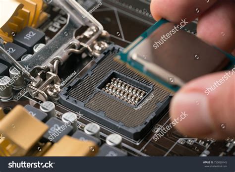Technician Plug Cpu Microprocessor Motherboard Socket Stock Photo