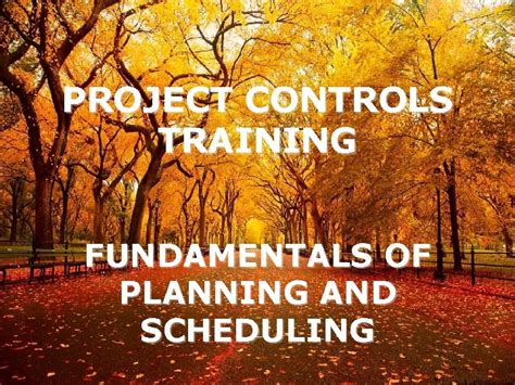 project controls training fundamentals of planning and scheduling