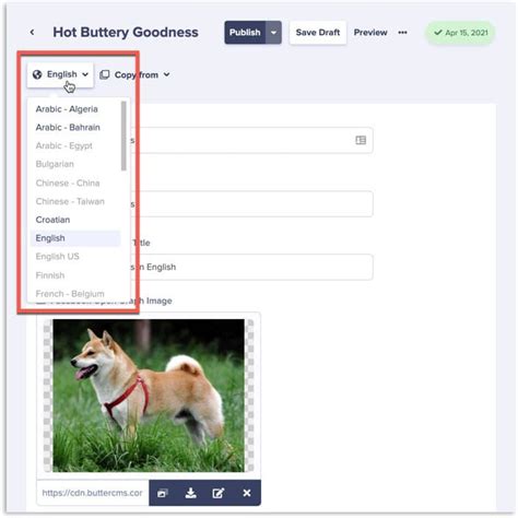 New Content Localization Capabilities From ButterCMS Q A With CEO Jake