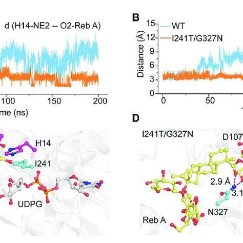 The Representative Catalytic Conformations Of Wt Udpg Reb A And