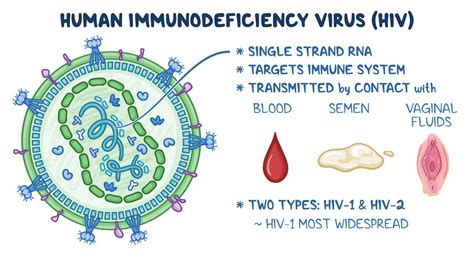 Human Immunodeficiency Virus Hiv Infection Video And Meaning Osmosis