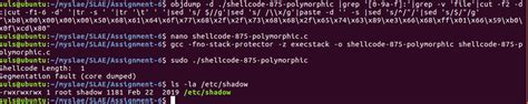 Slae Assignment 6 Polymorphic Shellcode Uk