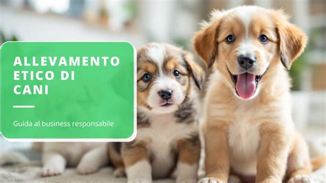 Contabilità Ordinaria Guida Completa e Approfondimenti