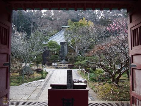 光則寺｜「立正安国論」建白の地！｜鎌倉観光マップス