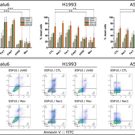 Human Nsclc Cell Lines Harbouring Different Genetic Mutations Examined
