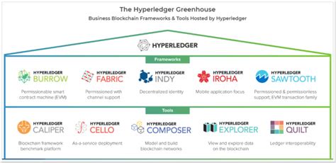 区块链，联盟链之hyperledger Fabrichyperledger Fabric联盟链 Csdn博客