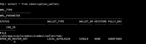 Configuring Transparent Data Encryption In Oracle 19c Database Oracledbwr
