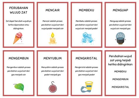 Flashcard Ipa Ipa Flashcards Life Science
