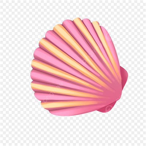 Desenho De Conchas De Frutos Do Mar Png Concha Frutos Do Mar Mão De