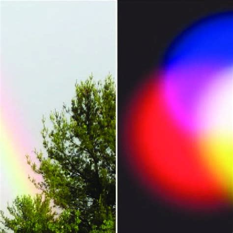 pdf color vision cones and color coding in the cortex