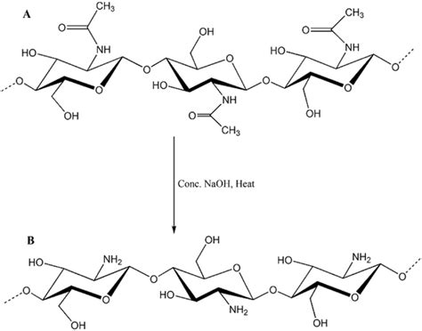 A Schematic Representation Of Deacetylation Of Chitin A To Form Cs B