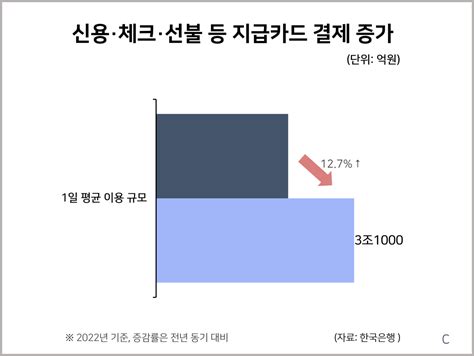 신용·체크·선불등 지급카드 결제 증가 사회 일반 통계