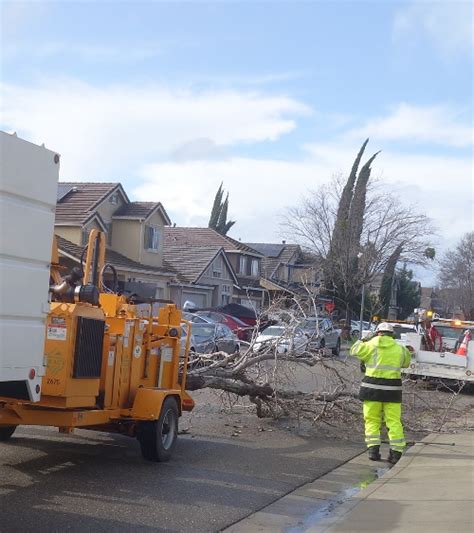 Wind Blown Trees Bramans Wanderings