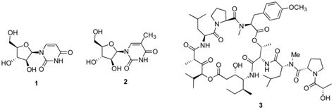 Structures Of Spongouridine 1 Spongothymidine 2 And Didemnin B 3 Download Scientific