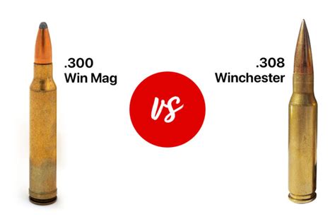 300 Win Mag Vs 308 Winchester Caliber Showdown WeaponsMan