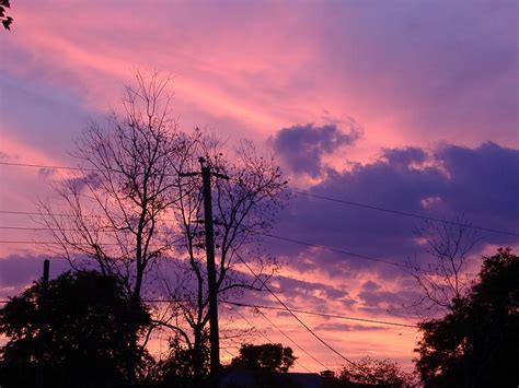 Violetā Krāsa Spoki