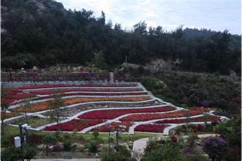 厦门园林植物园