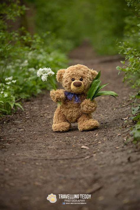 100 Cute Good Morning Teddy Bear Images Latest Update Artofit