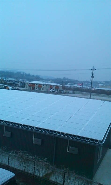 初雪 初積雪 空飛ぶイルカのブログ