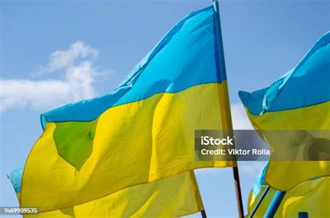 우크라이나의 국기 파란색과 노란색 색상입니다 독립과 평화의 상징 전쟁을 멈춰라 0명에 대한 스톡 사진 및 기타 이미지 0명 국기 기 Istock