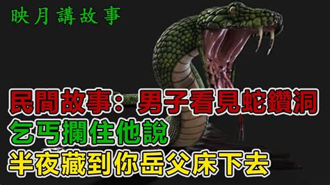 民間故事：深夜蛇鑽洞，乞丐攔住他說，半夜藏到你岳父床下去｜映月講故事 Youtube