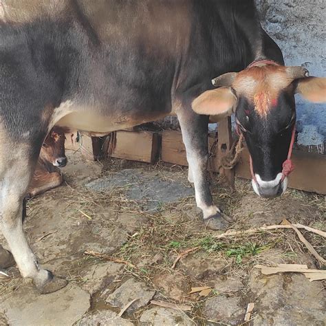 Kadayanallur Appatakkars Kadayanallurappatakars • Instagram