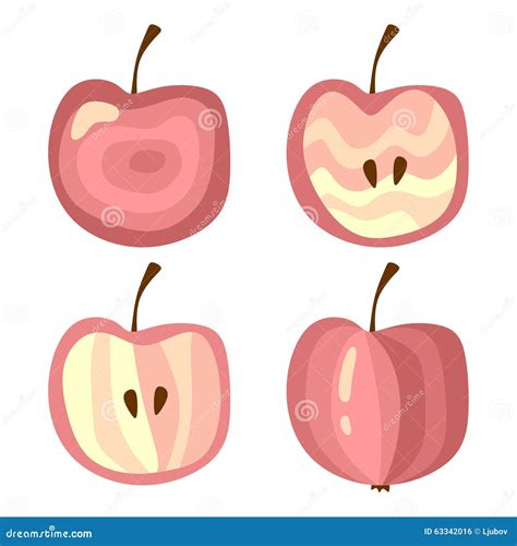 Set Of Apples On White Background Stock Vector Illustration Of Color