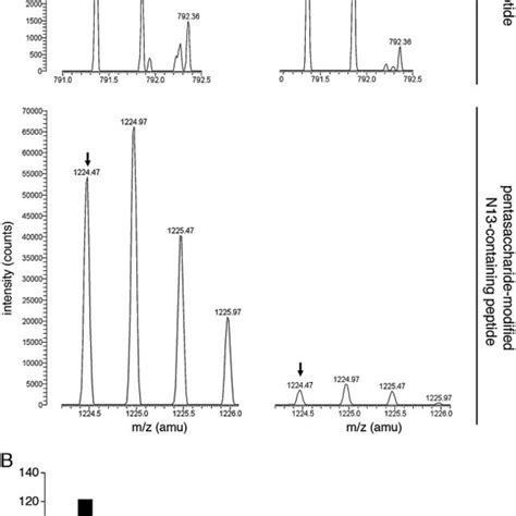 Chemical Structures Of The Dolichol Phosphate Linked Tetrasaccharides