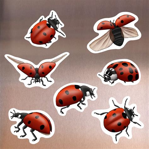 Lady Bug Magnet Set Waterproof Vinyl Insect Magnets For Refrigerator