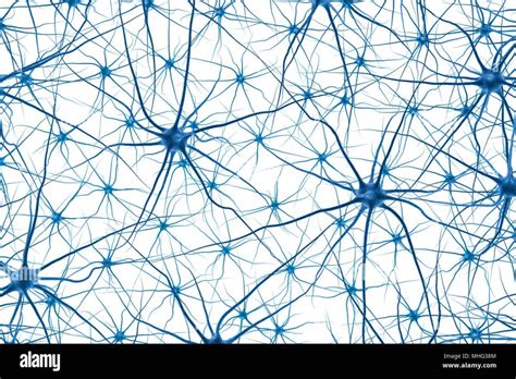 Neuron Pattern 58 Photo