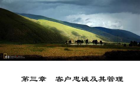 第三章 客户忠诚及其管理word文档在线阅读与下载无忧文档