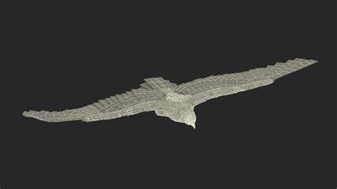 3d Realistic Flying Gurney Eagle Model Turbosquid 2250495