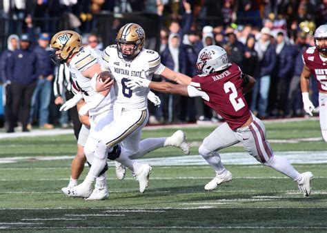 ‘cats Griz Clean Up In All Big Sky Voting Dowler Gillman Earn Mvp Honors Skyline Sports