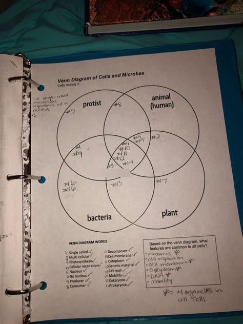 Cell Biology 1 Diagram Quizlet