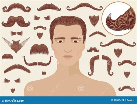 Baffi E Barbe Per Luomo Illustrazione Vettoriale Illustrazione Di Uomini 22800424