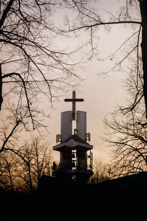 The Role Of Homogeneous Catalysts In Solution Phase Reactions Diverse