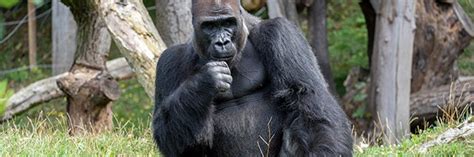 Brie King On Linkedin Sometimes The Answer To A Question Lies In Reframing It Altogether The…