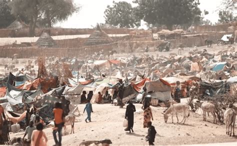 De Migratiedeal Eu Egypte Is Een “failliete Deal” Globalinfonl