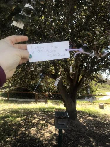 Best Hikes And Trails In Nipomo Native Garden Alltrails