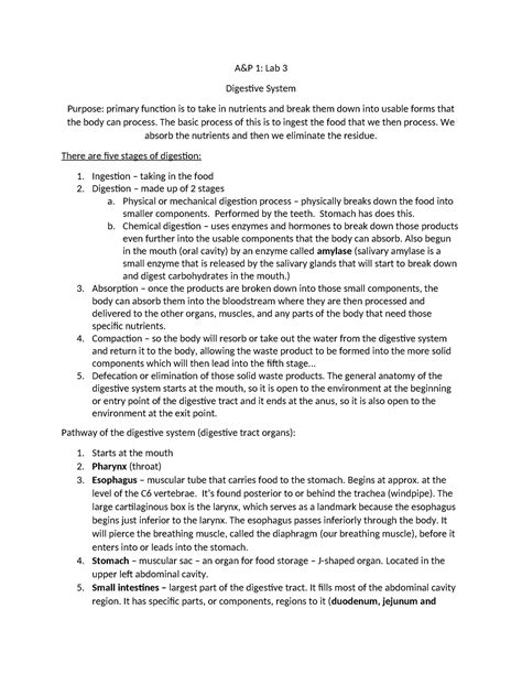 Aandp Lab 3 Lab 3 Notes Aandp 1 Lab 3 Digestive System Purpose