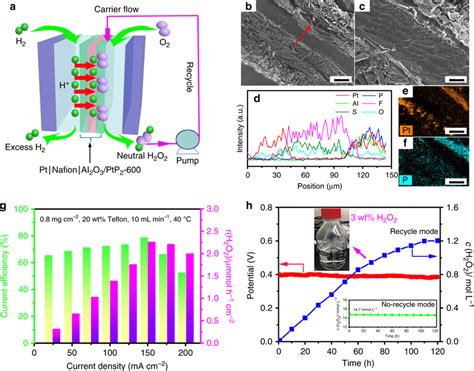 Performance Of Polymer Electrolyte Membrane Fuel Cell Pemfc A