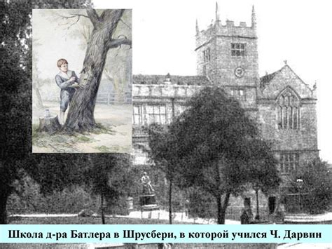 Чарльз Дарвин. Биография и научные труды - презентация онлайн