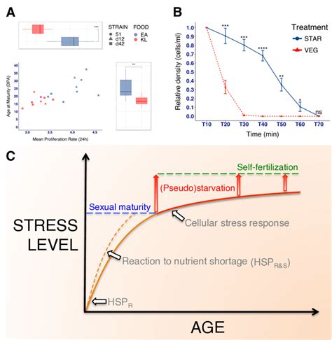 Stress Response Sexual Maturation And Reproduction Cell Download Scientific Diagram