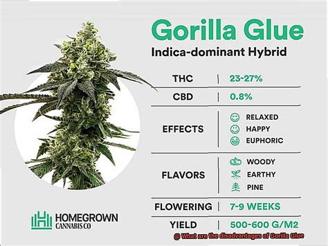 What Are The Disadvantages Of Gorilla Glue Glue Things