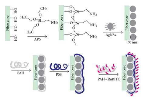 Schematic Representation Of The Lbl Assembly On The Sensor Region Of Download Scientific