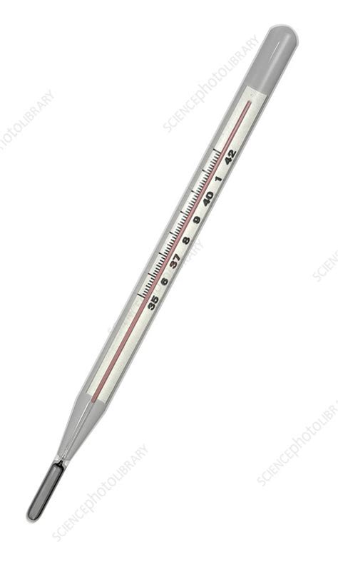 Medical Thermometer Artwork Stock Image M3901069 Science Photo Library
