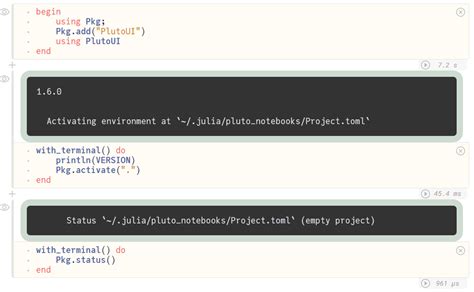 pkg output doesn t show in plutoui with terminal in julia 1 6 1
