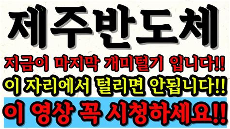 제주반도체 저는 이 가격까지 봅니다 대폭등의 시그널 포착 보유중인 분들 잘 보세요성공한 사람들이 성공하는